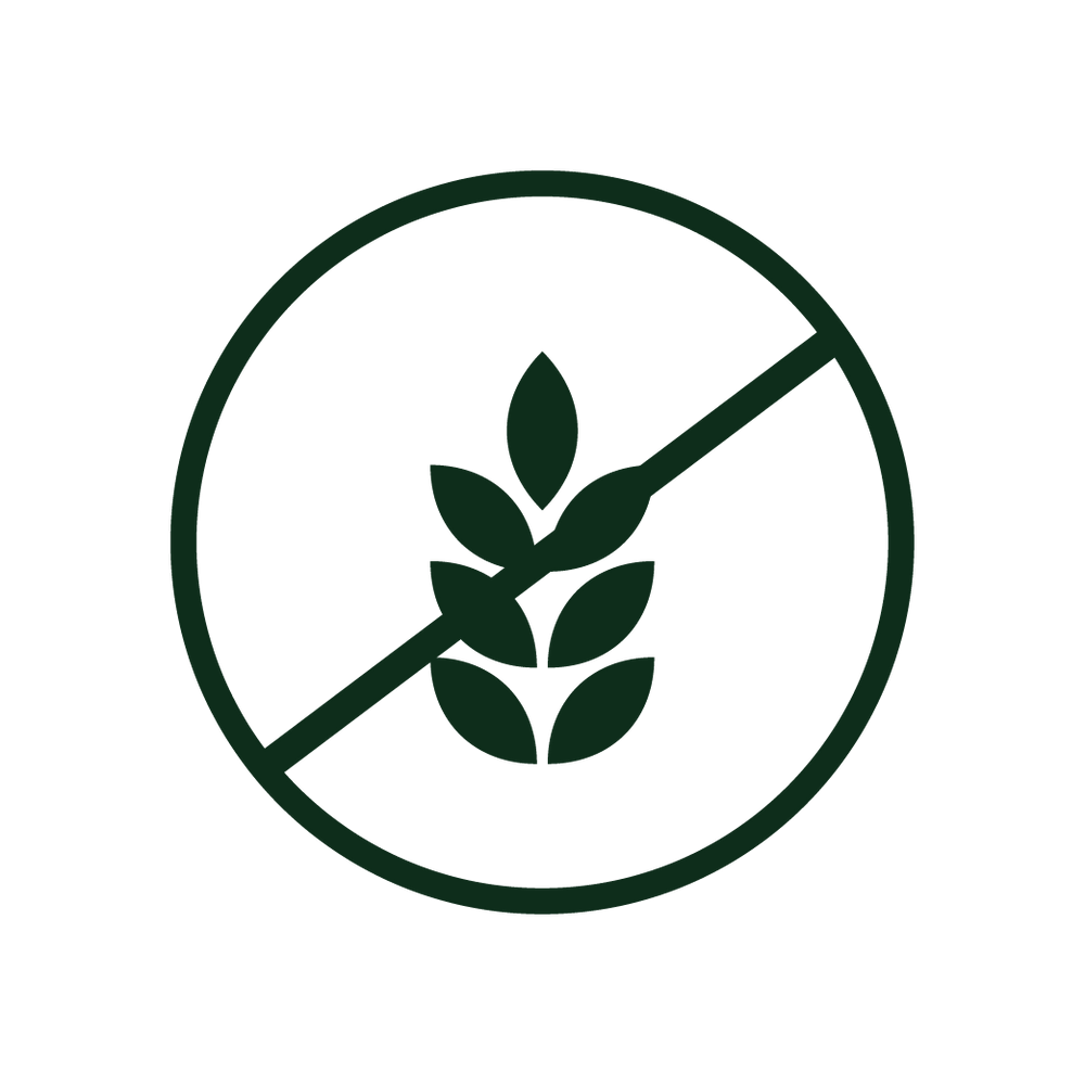 Fermentura® Curcuma Duo – AuraNatura DE