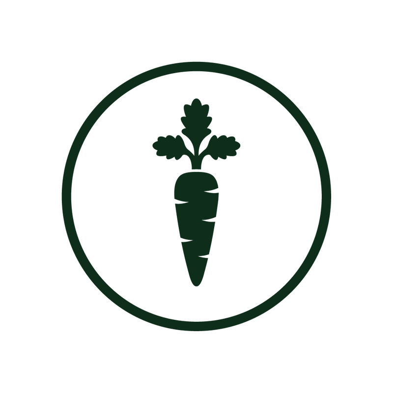 Fermentura® Curcuma Duo – AuraNatura DE